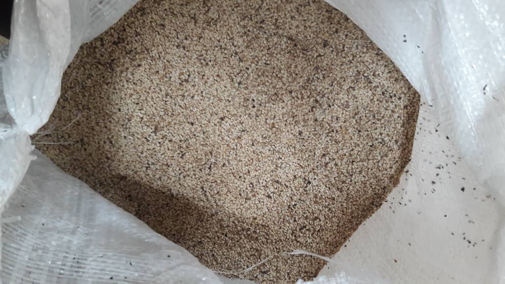 Home BIIZGLOSERV Agro Commodities Export Company Home BIIZGLOSERV Agro Commodities Export Company